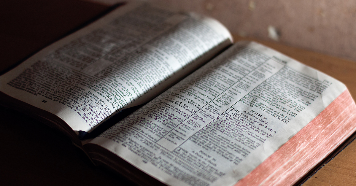 Five Steps to Understanding the Bible - Lifeword Media Ministry ...