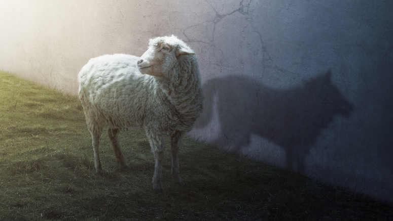 4 Traits of a False Teacher - Lifeword Media Ministry | Lifeword Media ...