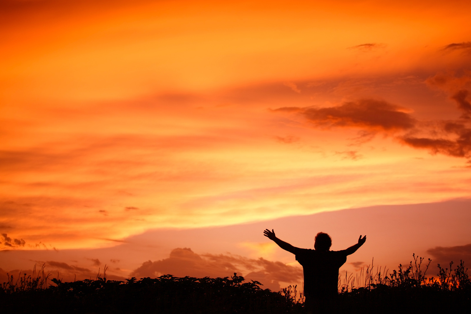 Don't Count God Out - Lifeword Media Ministry | Lifeword Media Ministry