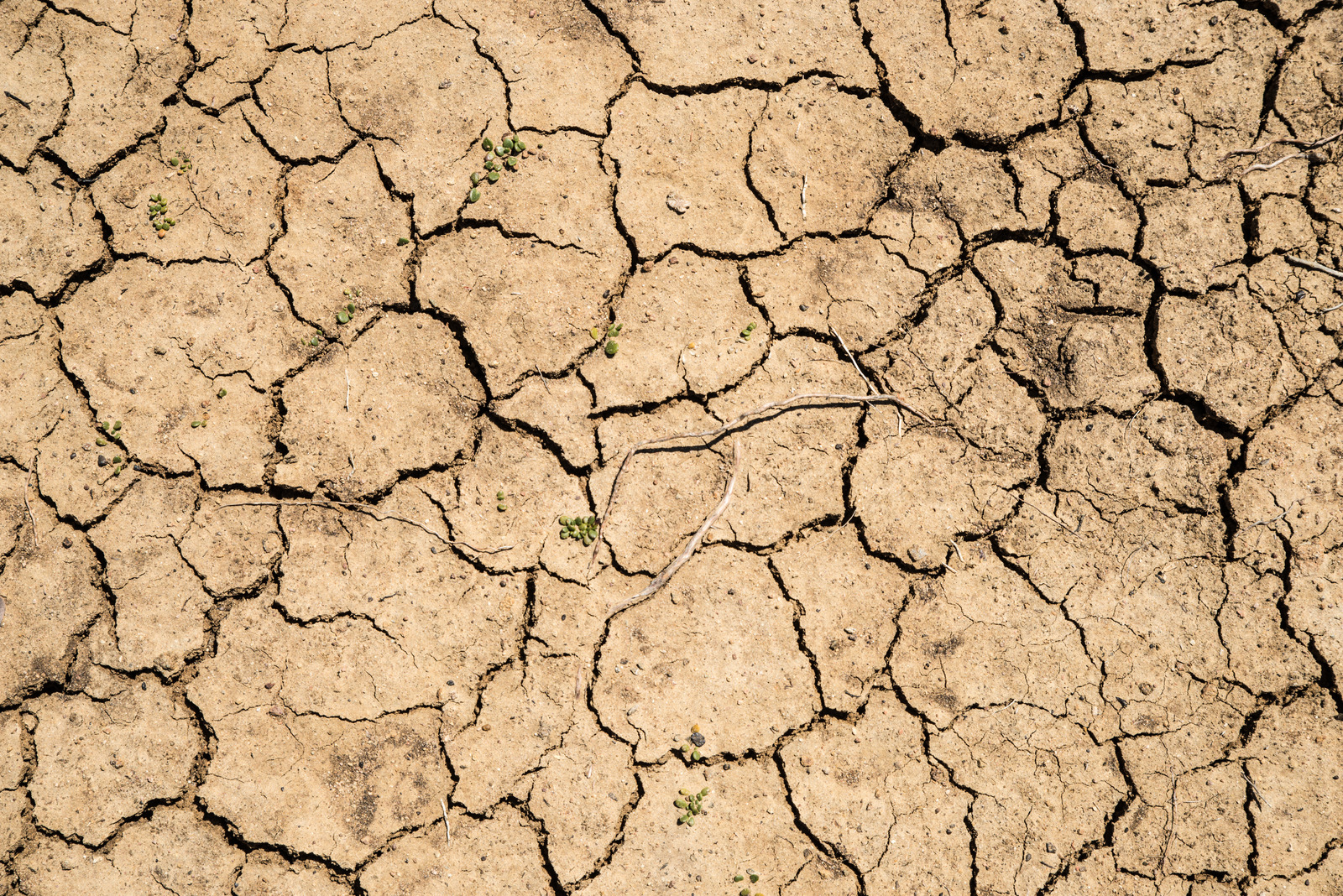 Dry Ground - Lifeword Media Ministry | Lifeword Media Ministry