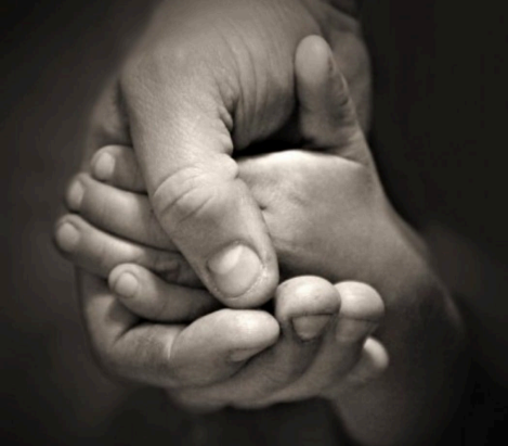 The Father's Hands - Lifeword Media Ministry | Lifeword Media Ministry