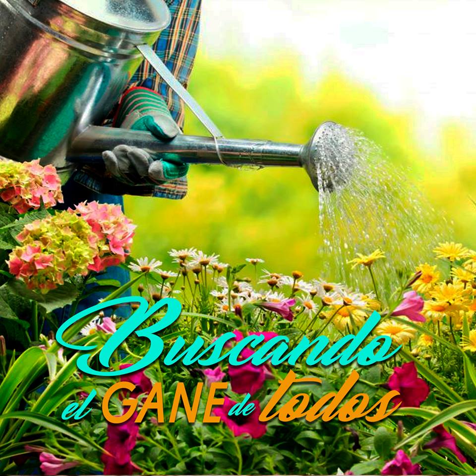 Buscando El Gane De Todos - #3 - Lifeword en Español | Lifeword en Español